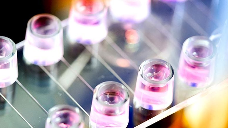 Spacecraft Propulsion Without Fuel Using Electrodynamic Tethers