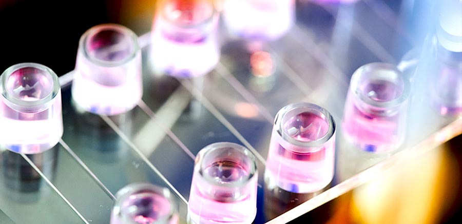 Innovative Experiment Reveals the Complex Dynamics of Stem Cell Tethers ...