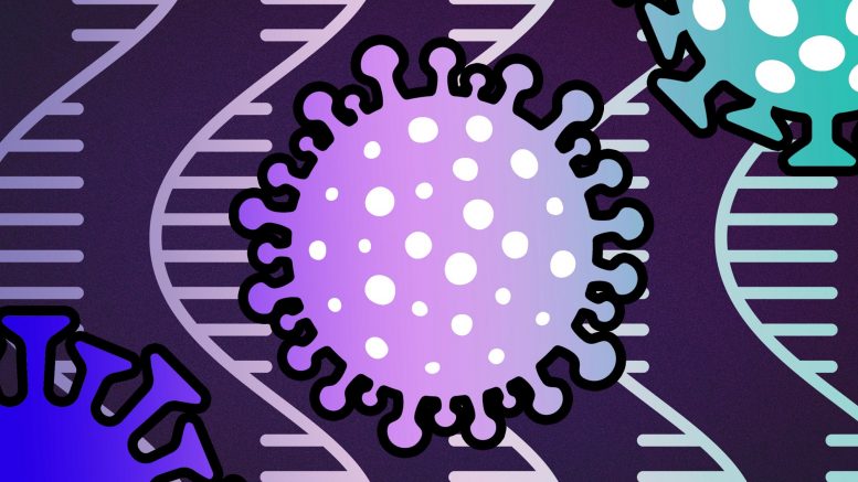 COVID-19 Patient Zero: Data Analysis Identifies the “Mother” of All ...