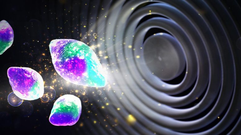 New PVP Binder Improves Lithium-Ion Battery Life