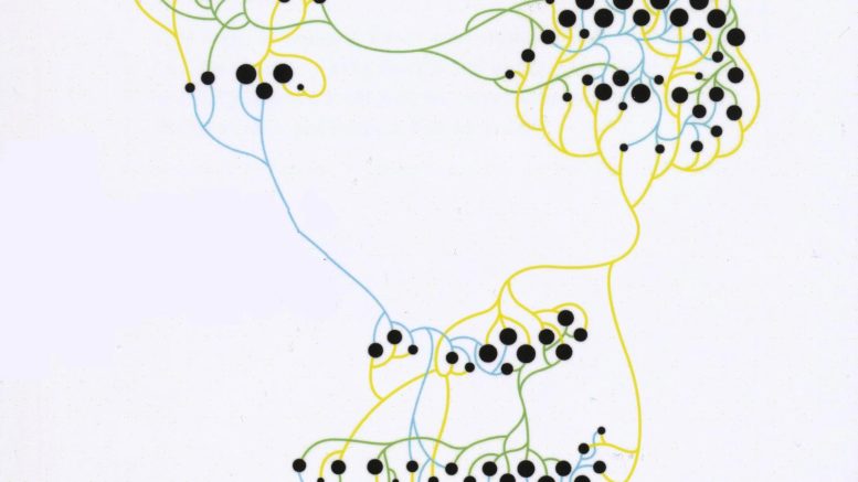 Neurologists Speed Up Connectome Analysis by More Than 10-Fold