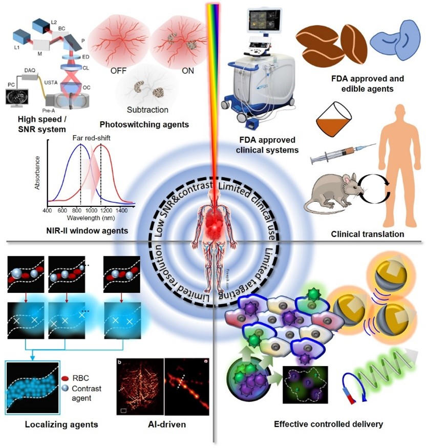 How Contrast-Enhancing Agents Could Revolutionize Photoacoustic Imaging