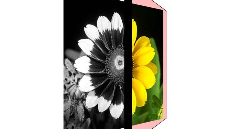 Seeing the Invisible: New Method Makes Infrared Light Visible at Room ...