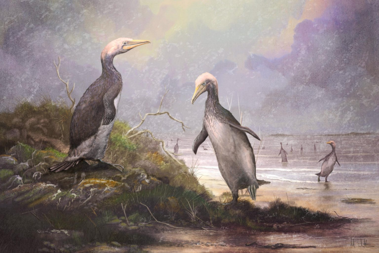New Zealand’s Ancient Monster Penguins Had Doppelgangers in Japan, the ...