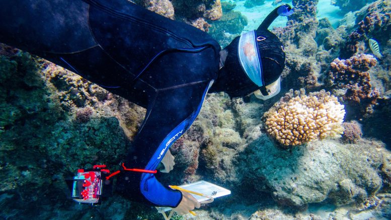 Scientists Were Misled for Decades – New Study Unveils the Deceptive ...