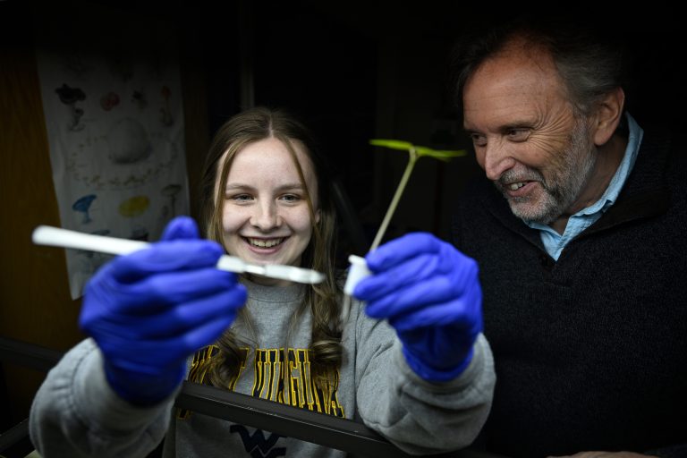 Long-Awaited Mystery Fungus Sought by LSD’s Inventor Found After 80 ...