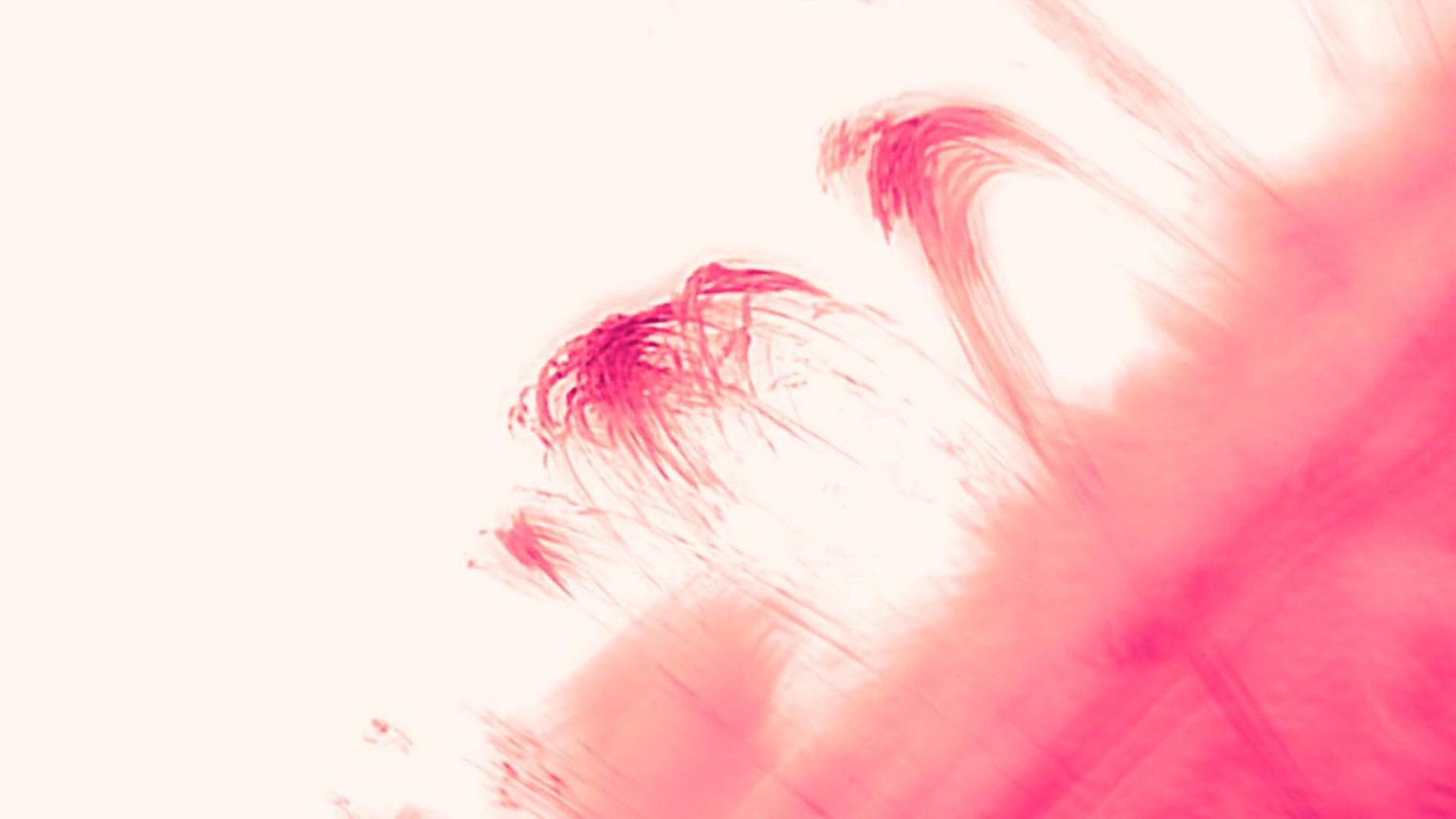 “Raindrops” on a Fireball: Sharpest-Ever Look Inside the Sun’s Wild Corona