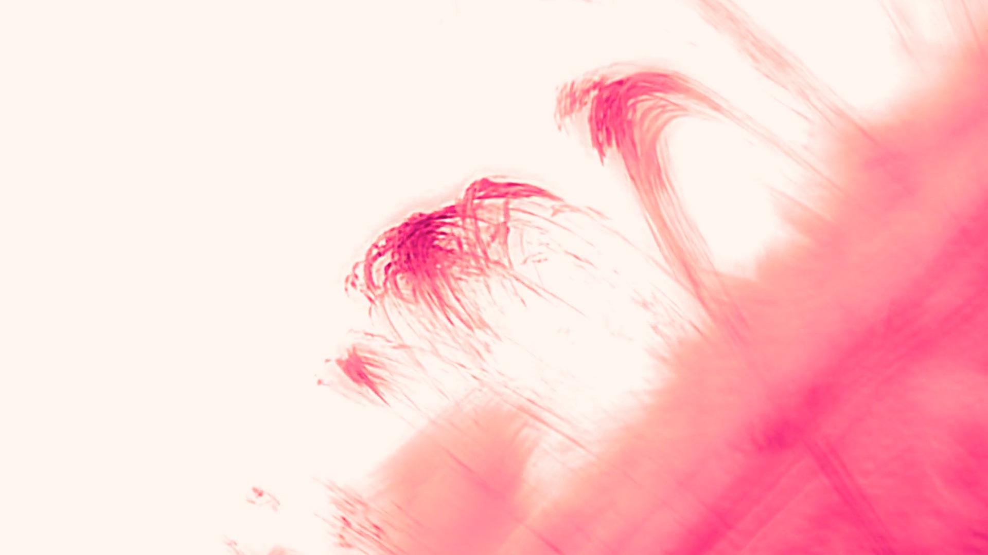 “Raindrops” on a Fireball: Sharpest-Ever Look Inside the Sun’s Wild Corona