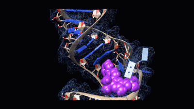RNA News - SciTechDaily