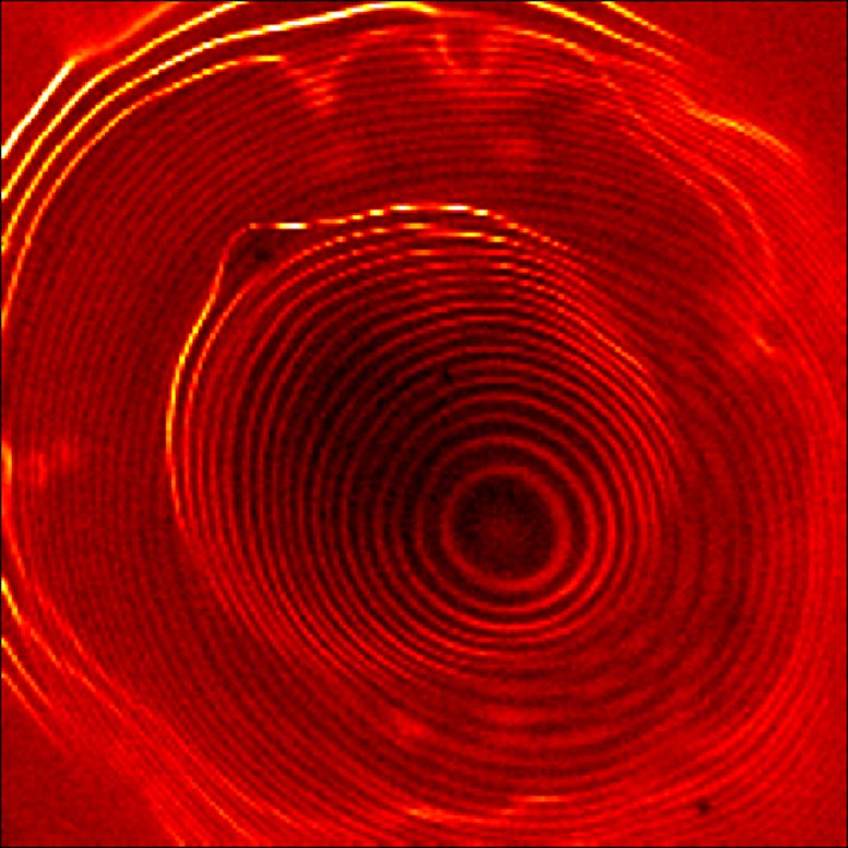 Coupled Quantum Dots May Offer A New Way To Store Quantum Information Coupled Quantum Dots May Offer A New Way To Store Quantum Information