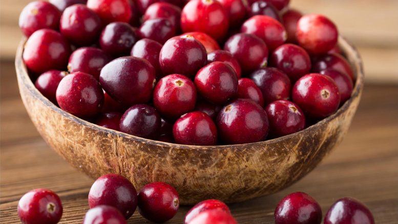 Heart Healthy Food: Eating Cranberries Daily Improves Cardiovascular Health