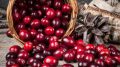 How Cranberries Could Improve Memory, Boost Brain Function, and Ward ...