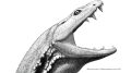 Meet the “Tadpole From Hell” – Crushed Scottish Fossils Unveil ...