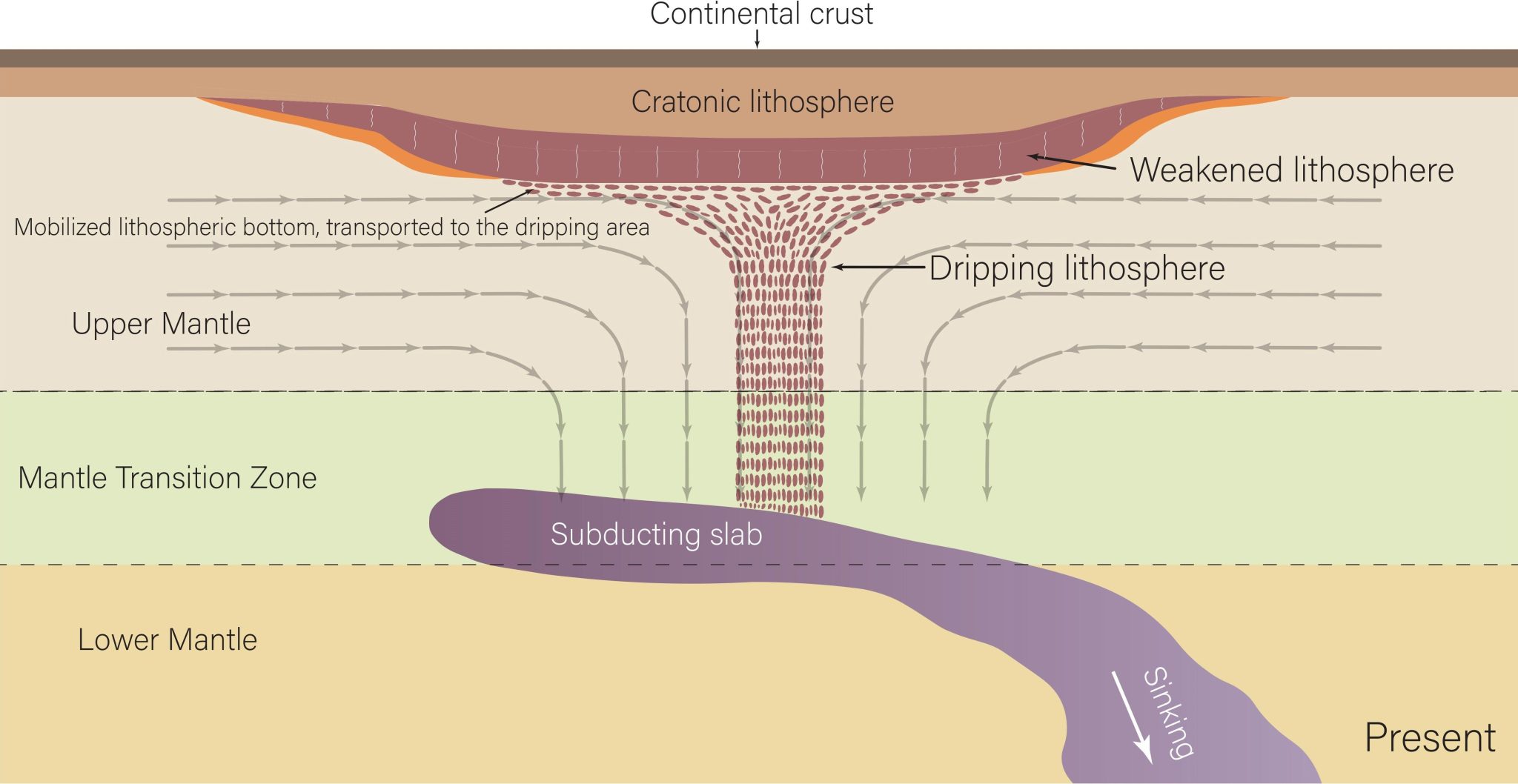 Scientists Discover That North America Is “Dripping” Down Into Earth’s ...