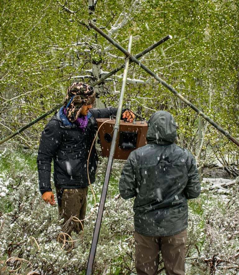 Creating a Phantom River: Experimental Broadcast of Whitewater River ...