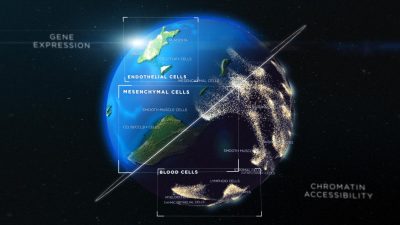 The Human Cell Atlas: AI Helps To Spot Single Diseased Cells