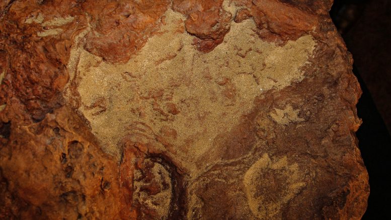Oldest Footprints of Pre-Humans Identified in Crete – Six Million Years Old