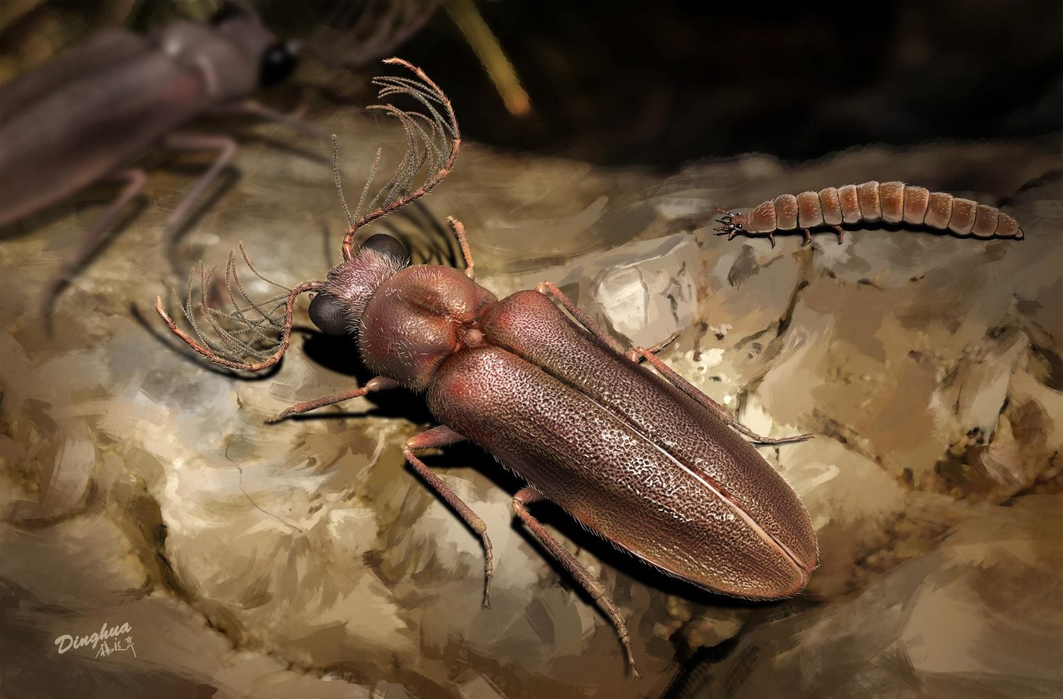 Preserved With Life-Like Fidelity, 100 Million-Year-Old Beetle Is ...