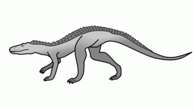 Nuclear Plant Helps Save Endangered Florida Crocodiles