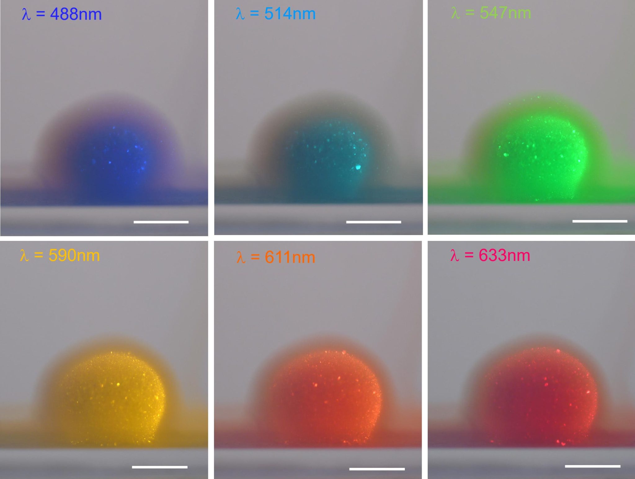 Revealing Hidden Worlds: Monochromatic Light Unveils the Secrets of ...