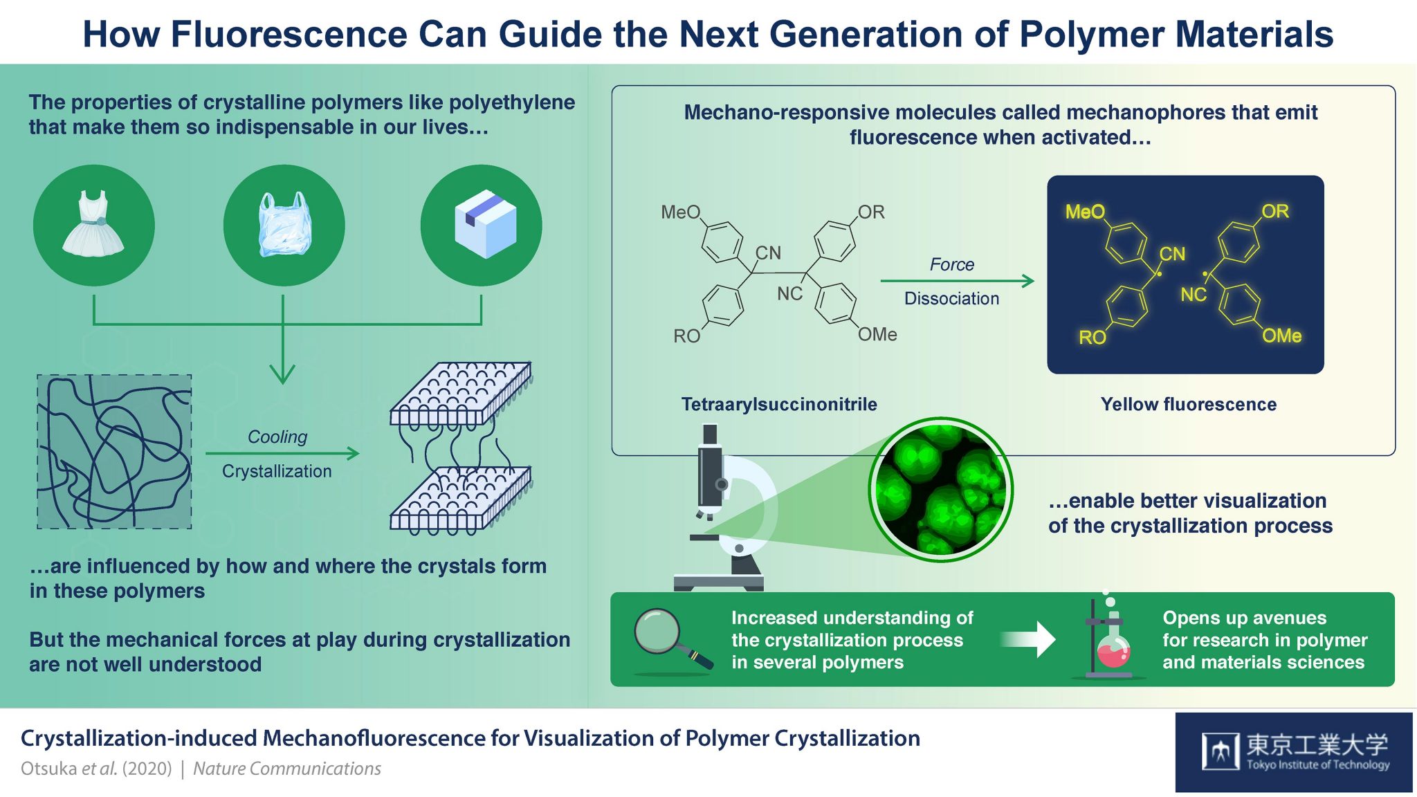 Mechanophores: Unprecedented Insight Into Polymer Crystal Growth Processes