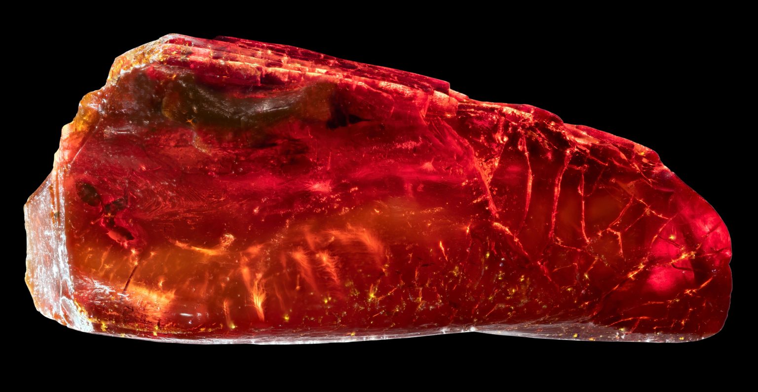Scientists Discover 40-Million-Year-Old Ant Hidden in Historic Amber ...