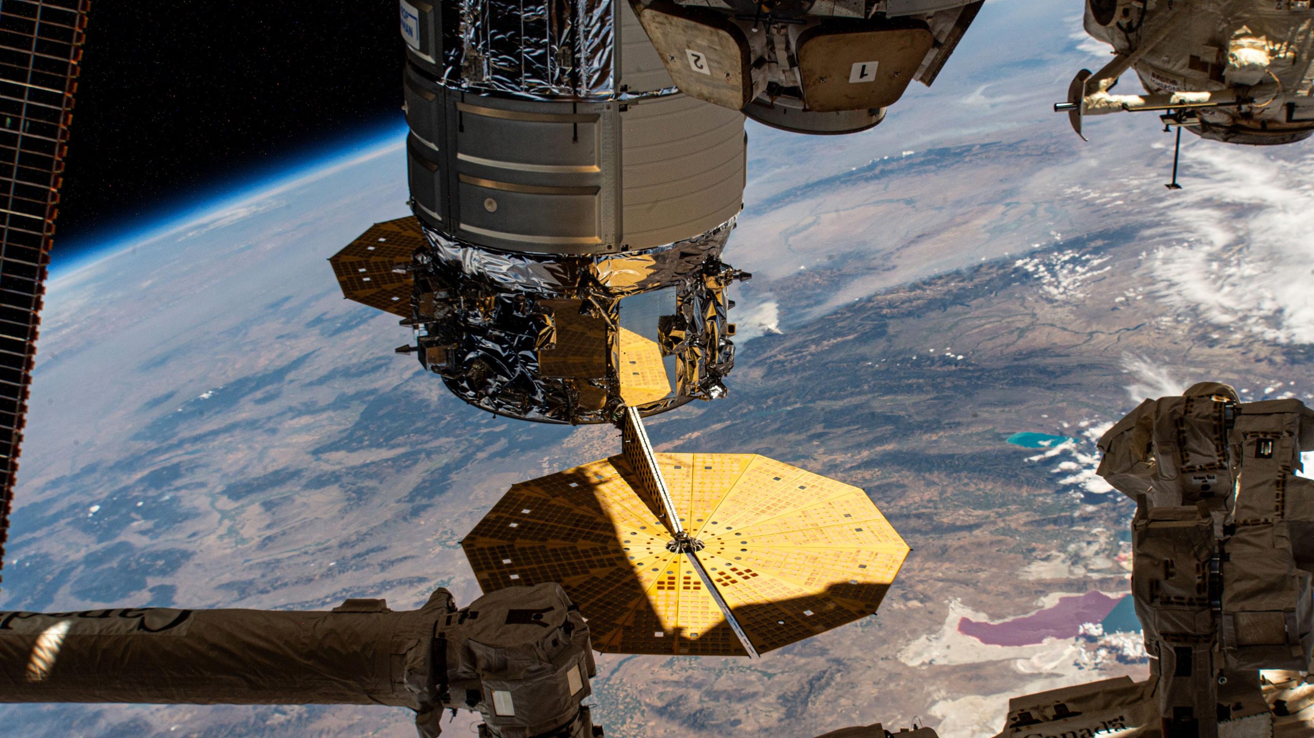 Lettuce, Jetpacks, and Spacewalks: New Year on the Space Station