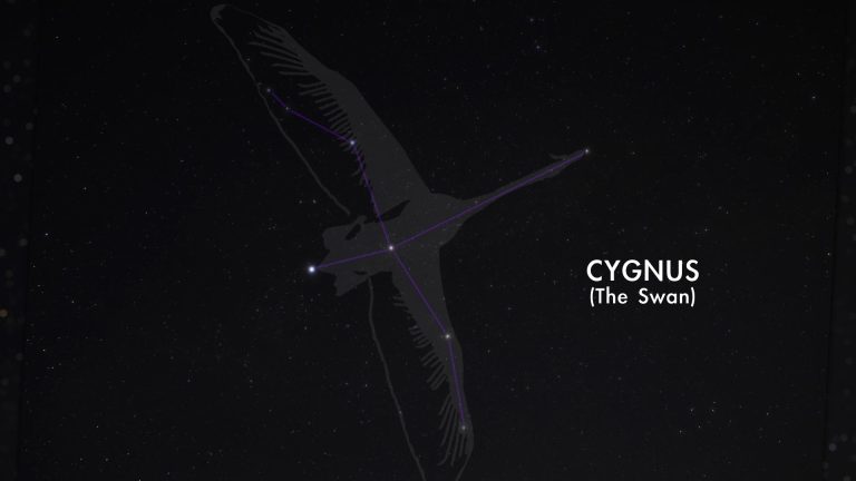 Don’t Miss: Planet Viewing, Perseids Outlook, and Flying With Cygnus ...