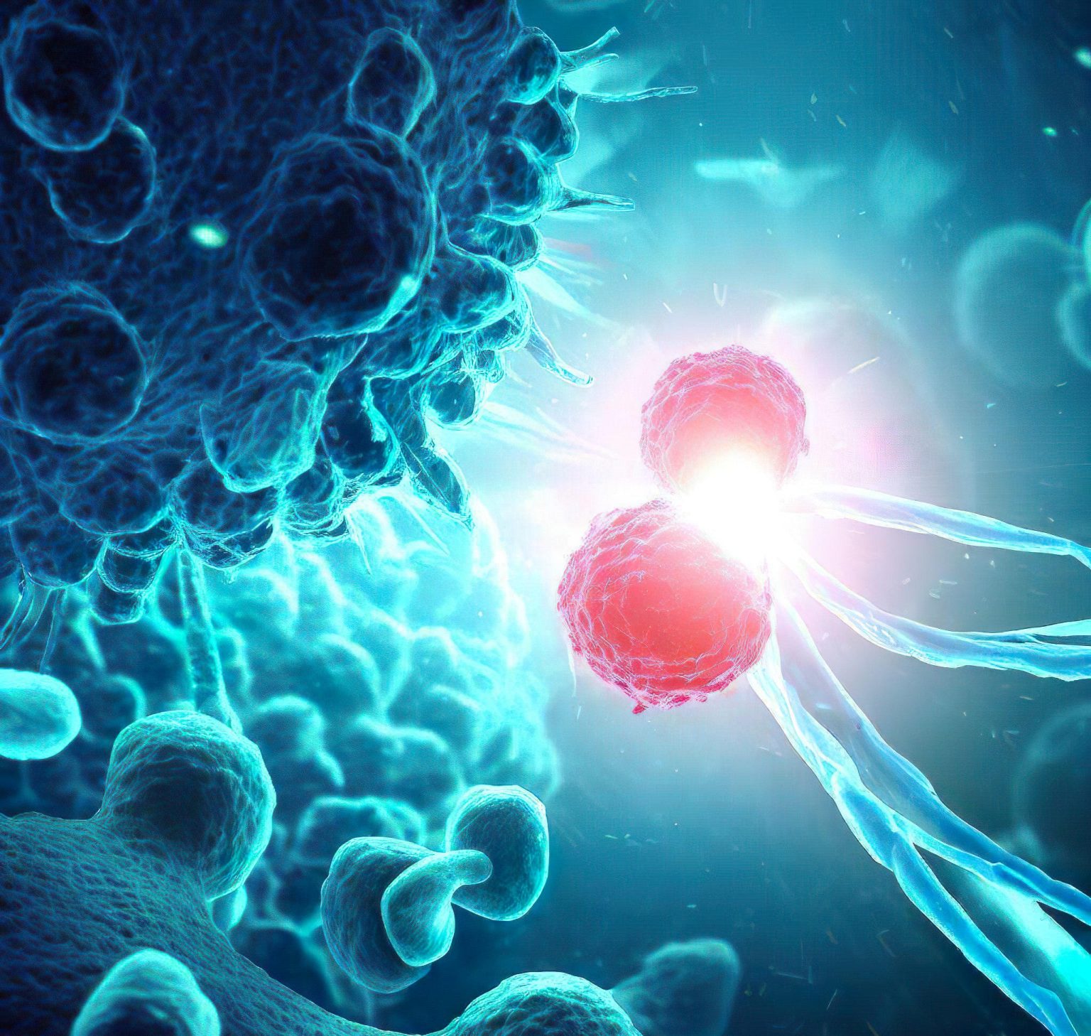Johns Hopkins Engineers Develop Deep-Learning Technology That May Aid ...