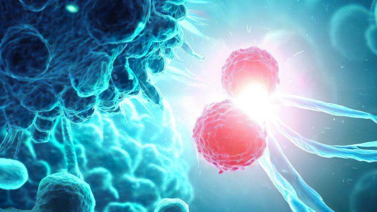 Biomedical Engineering News - SciTechDaily