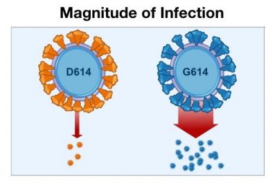 Global COVID-19 Cases Now Dominated by New, More Infectious Strain of Virus