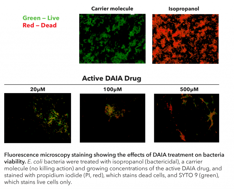 New Class of Dual-Acting Antibiotics Active Against a Wide Range of ...