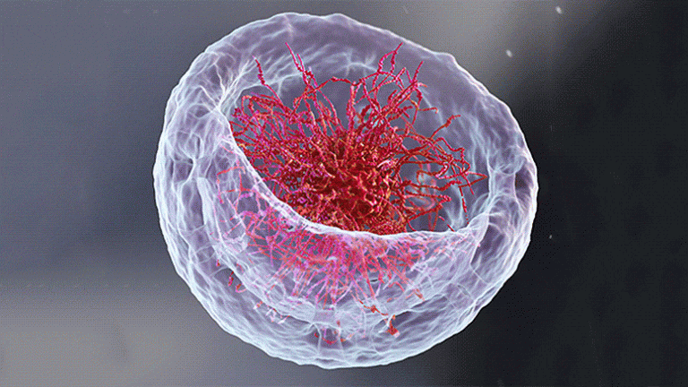 Biologists Create 3D Maps of DNA Within the Innermost Parts of a Cell
