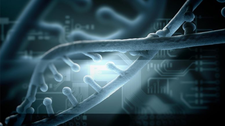 Reversing a Genetic Cause of Poor Stress Tolerance