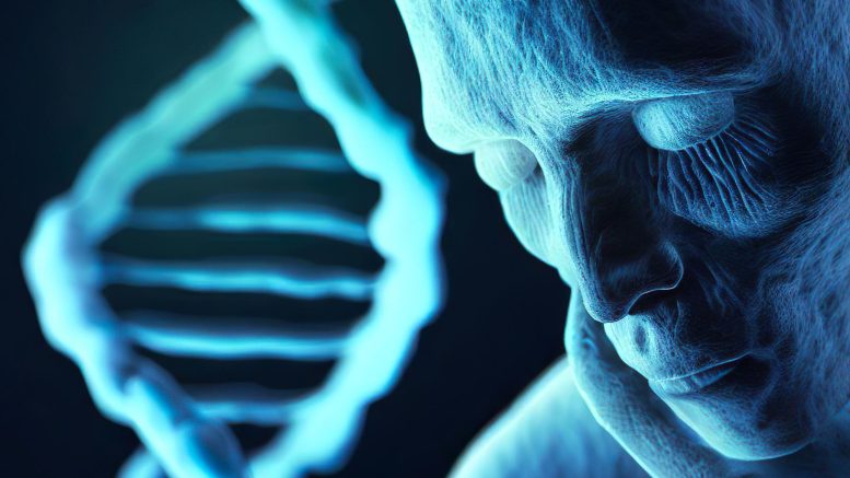 New DNA Research Changes Origin of Human Species