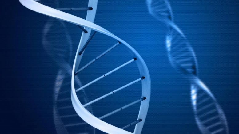 DNA Energy Code: “Survival of the Fittest” Phenomenon Is Only Part of ...