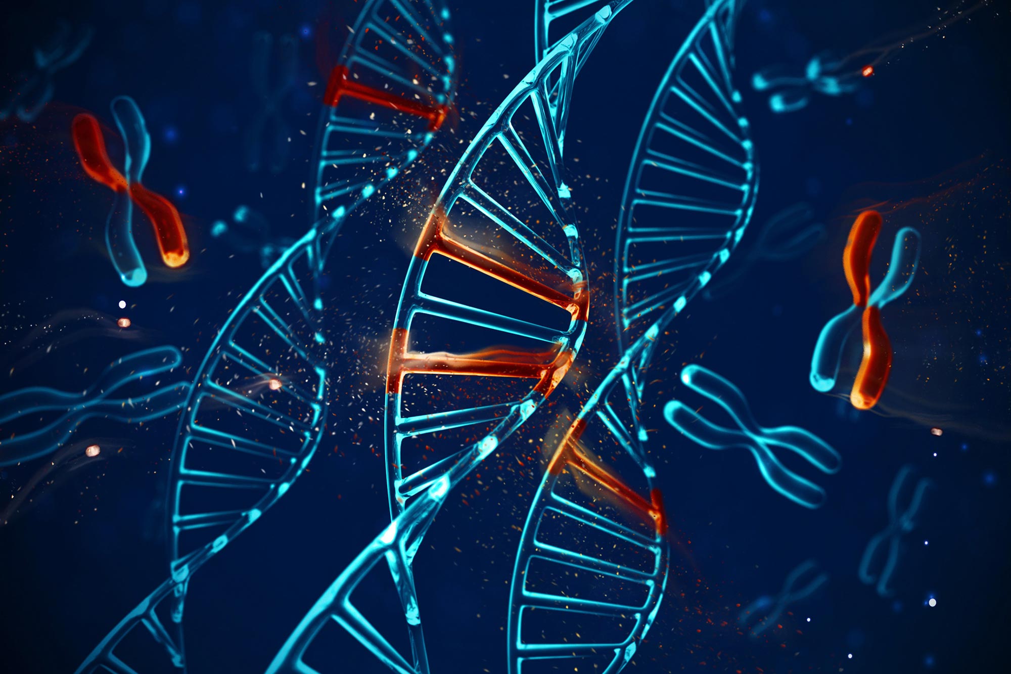 Early Embryo DNA Replication Defies Expectations