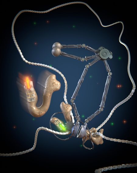 Scientists Solve Long-Standing DNA Machinery Mystery