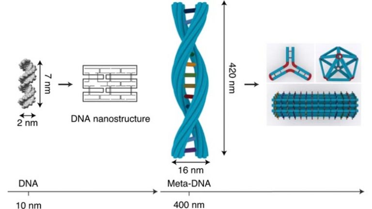 DNA Origami Enables Fabricating Superconducting Nanowires for ...