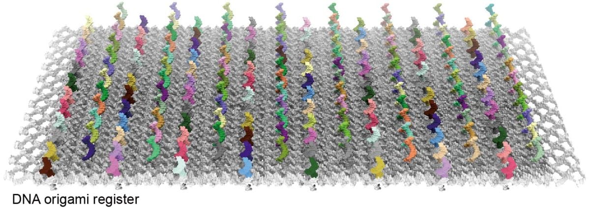 Beyond Silicon: How DNA Is Powering Next-Gen Computers