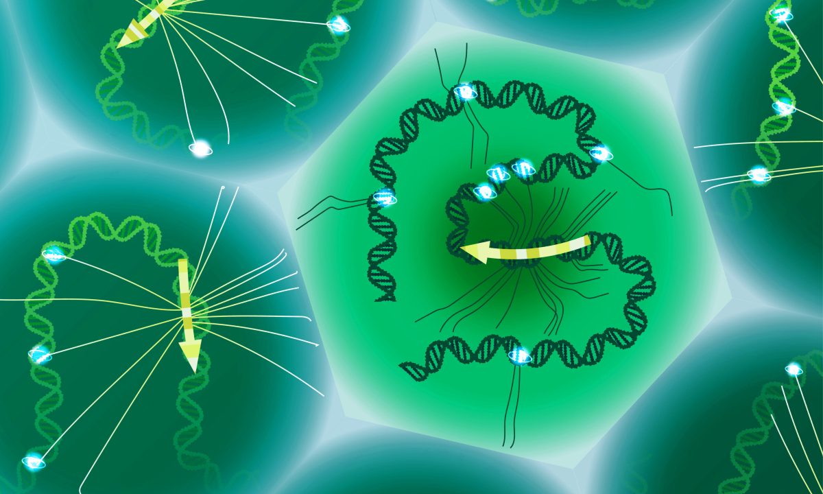 New Tool Reads DNA and RNA in a Single Cell, Unlocking Secrets of Disease