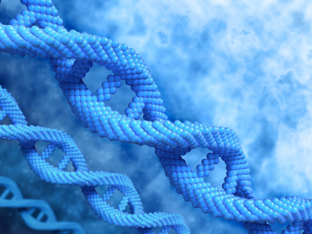 Twists of Fate: How 50,000 Mysterious DNA Knots Could Help Cure ...