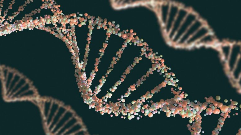 Study Shows Four-Stranded ‘Quadruple Helix’ DNA Structure in Human Cells