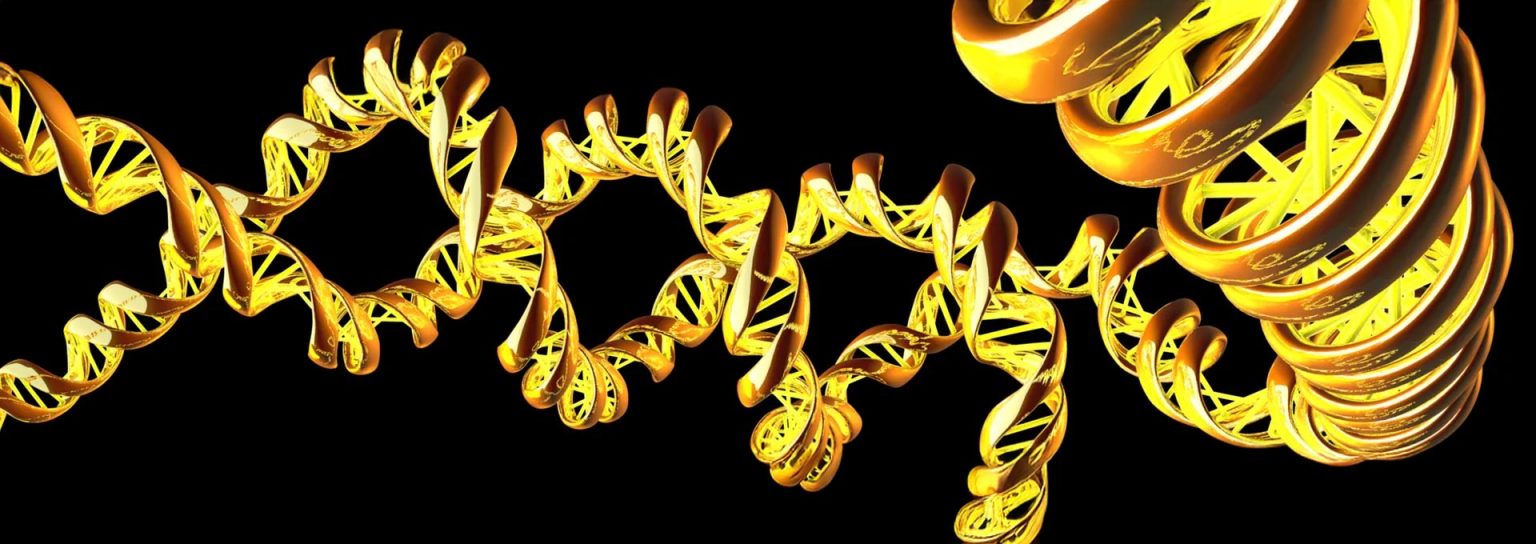 DNA’s Secret Dance: How Molecular Machines Twist and Loop Life’s Code