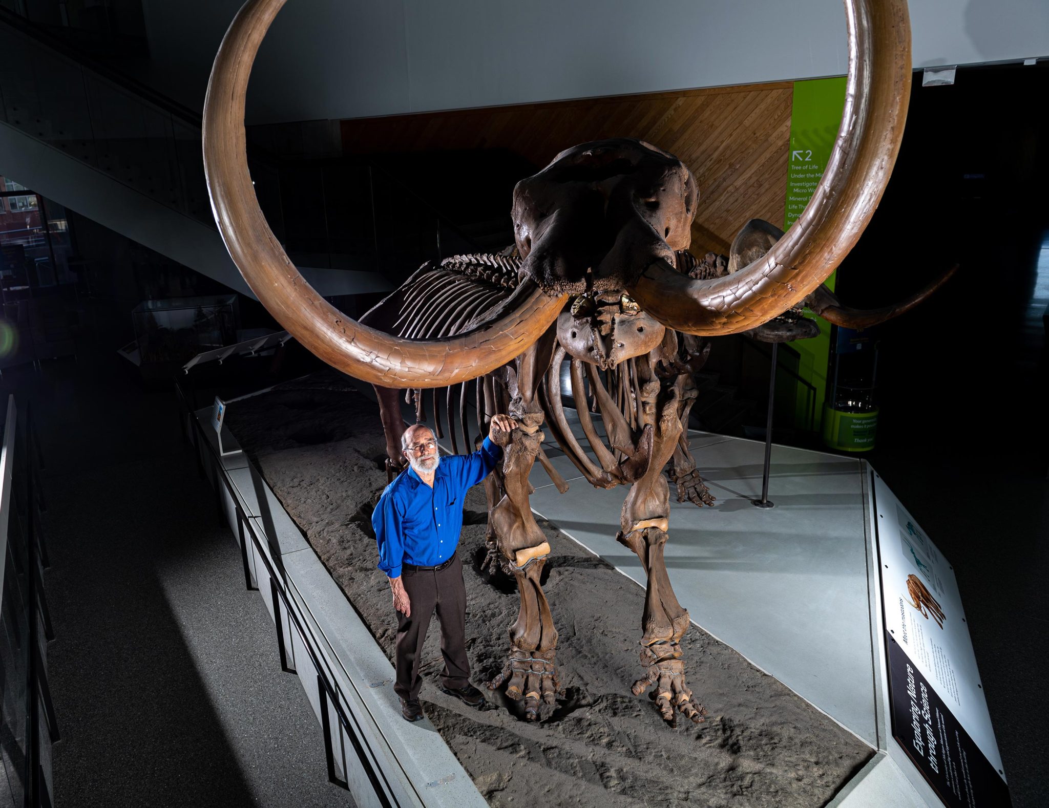 Mastodon Killed in Bloody Battle 13,200 Years Ago – Reveals Extinct ...