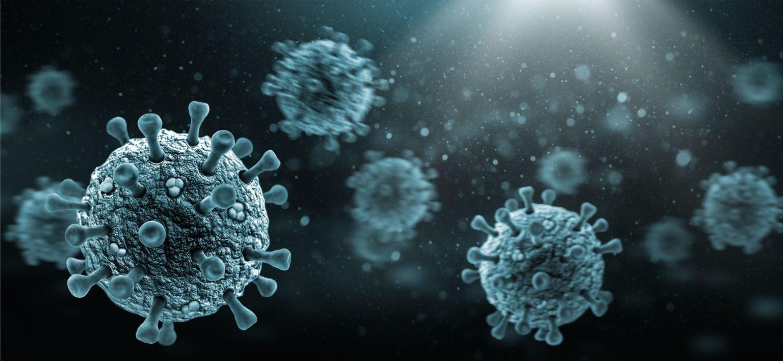 Pandemic Potential: Scientists Discover 3 Hotspots of Deadly Emerging ...