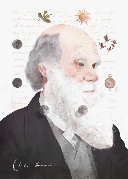 Darwin’s Forgotten Legacy: Chronobiology and the Hidden Rhythms of Nature