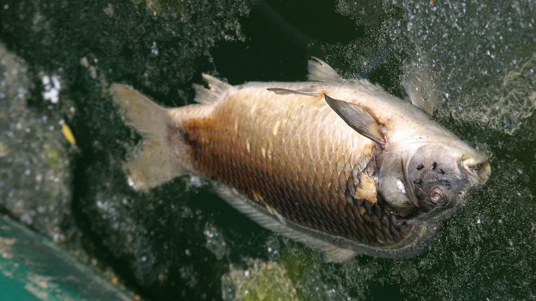 Contamination News - SciTechDaily