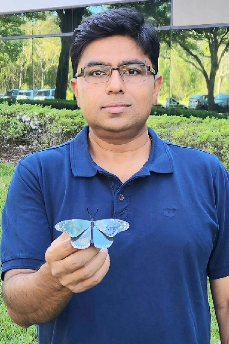 Inspired by Butterflies: Scientist Creates the Lightest Paint in the World