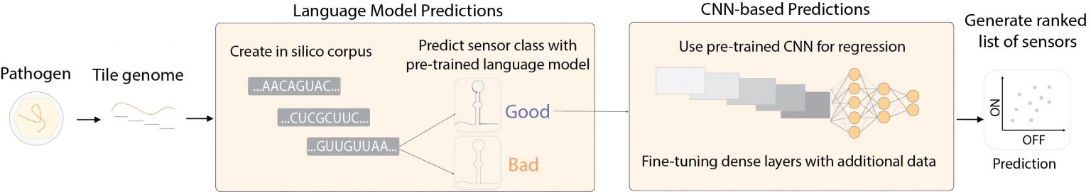 Going Beyond Human Brains: Deep Learning Takes On Synthetic Biology